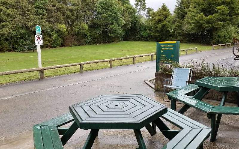 Trounson Kauri Park Campground | Full Service Camp | New Zealand